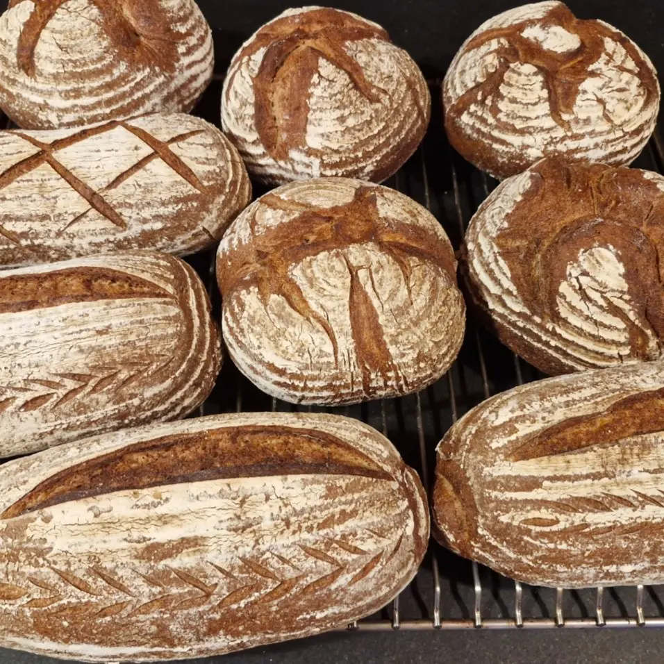 Moritz Lenz Zivildiener Lebenswelt Wallsee Gronda