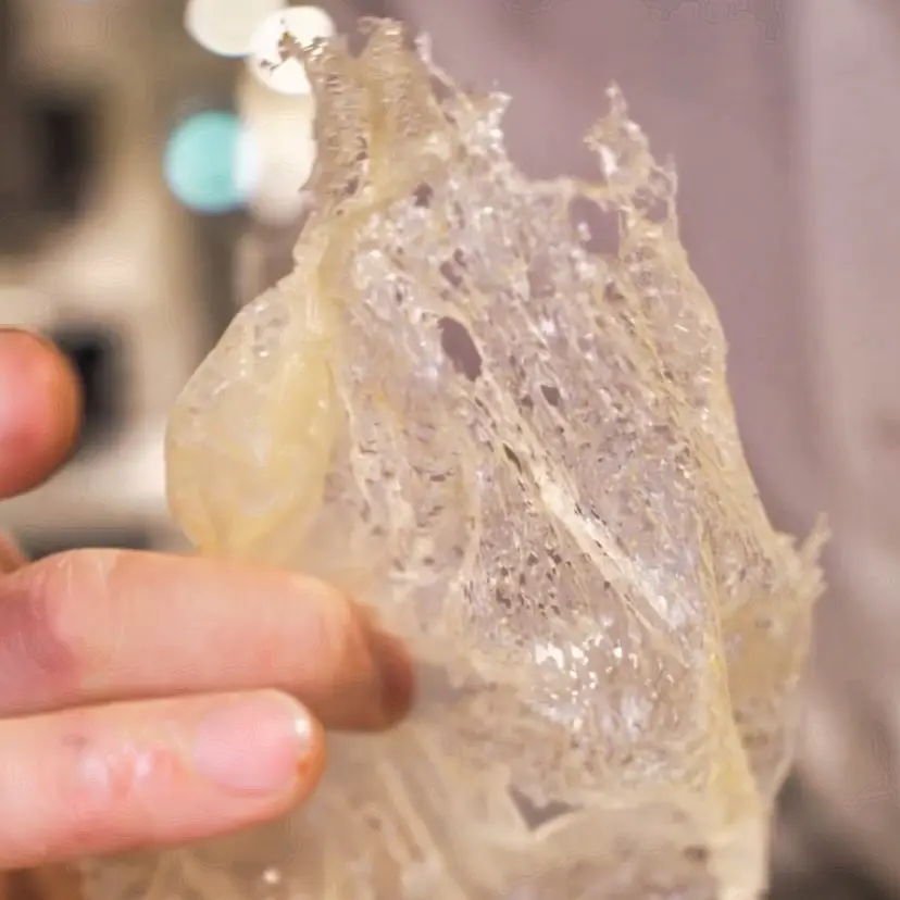 Top 10 Chefs in Japan (December 2025) | Gronda