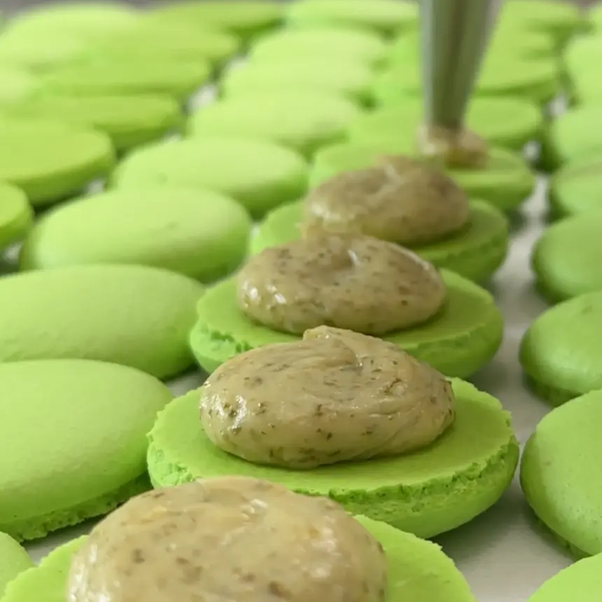 Top 10 Chefs in United States of America (January 2026) | Gronda