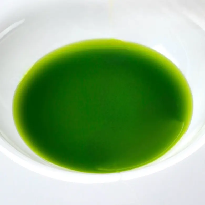 Top 10 Chefs in Japan (November 2025) | Gronda