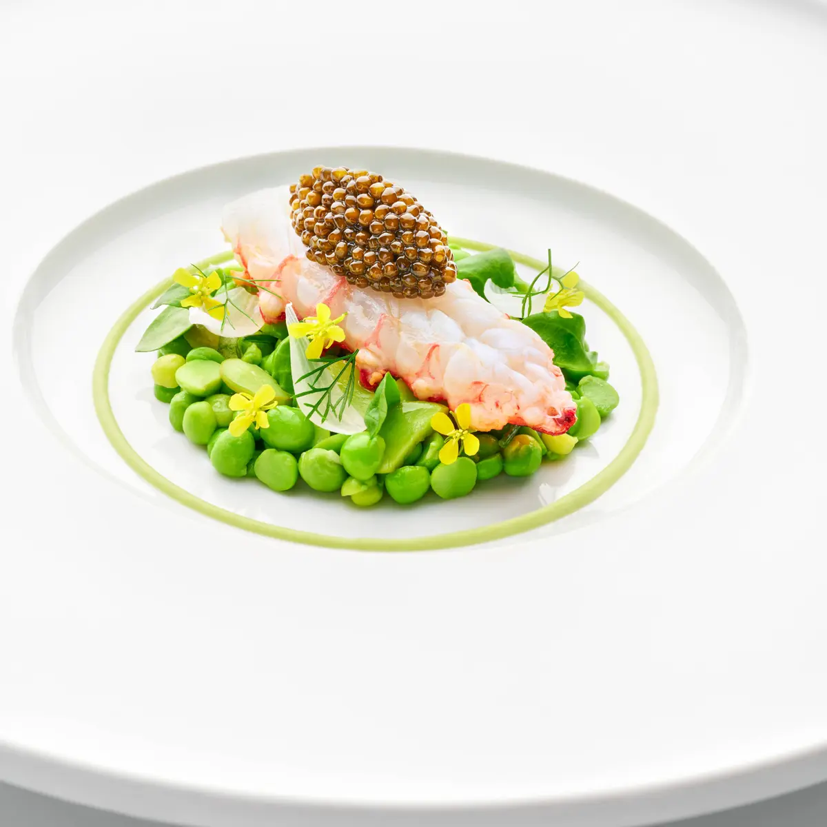 Top 10 Chefs in Singapore (December 2025) | Gronda