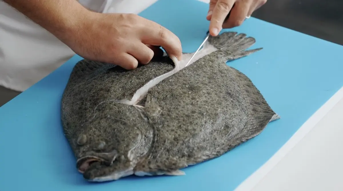 #12 Butchering Flatfish - Jules Cooking | Gronda