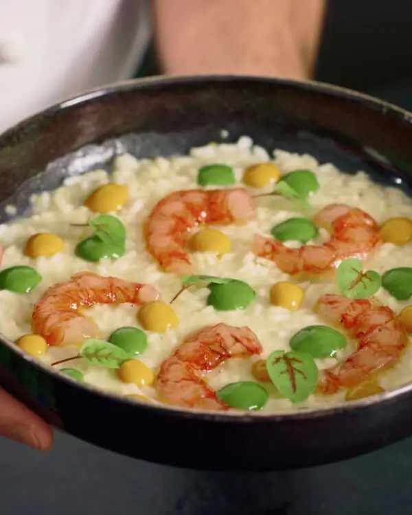 Danilo Cortellini: Risottos