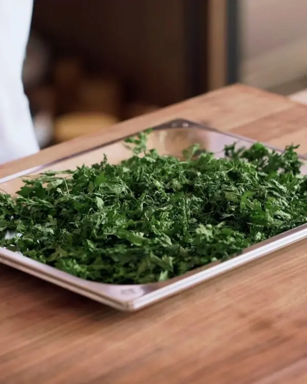 Jules Cooking: Preservation Methods