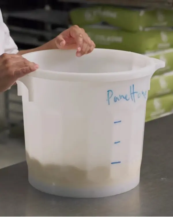 Ton Cortés: Panettone